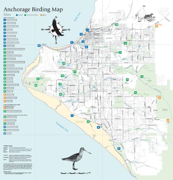Birding in Our Parks | Anchorage Park Foundation