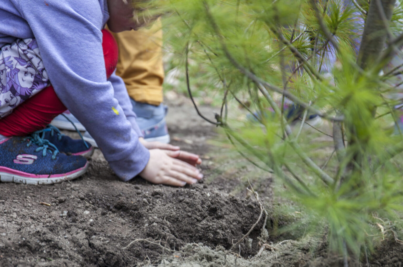 Community Tree Planting | Anchorage Park Foundation