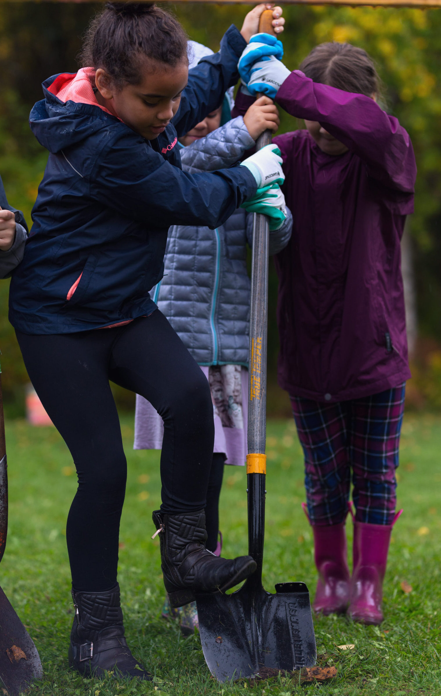 Community Challenge Grants & Neighborhood Forest Grants | Anchorage ...