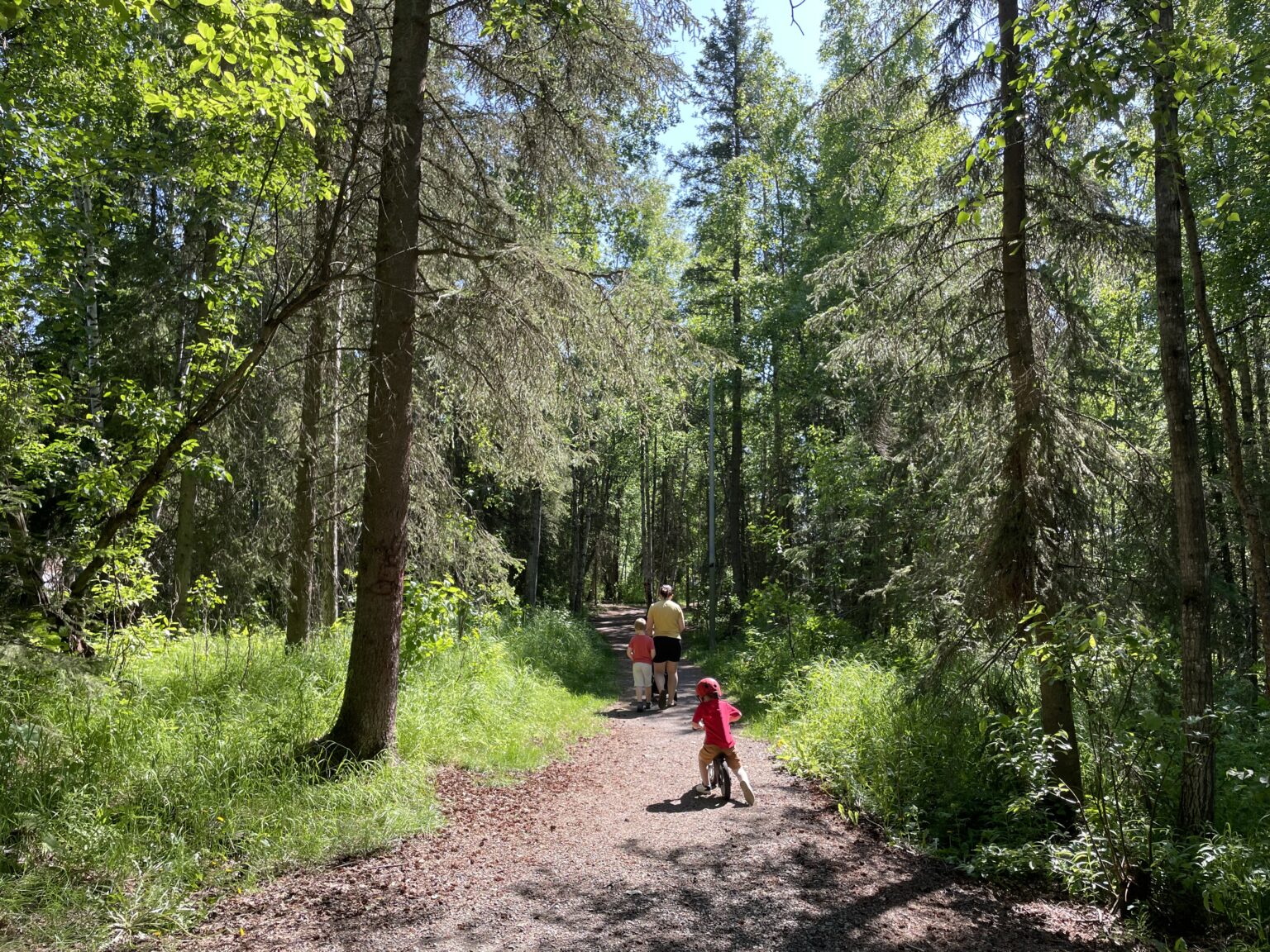 Celebrating the 2025 Park of the Year | Anchorage Park Foundation